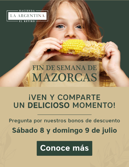 Proyectos inmobiliarios | Propiedad Raíz | Londoño Gómez